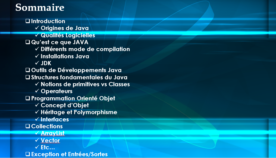 Programmation Objet Orienté Java Indyli Services